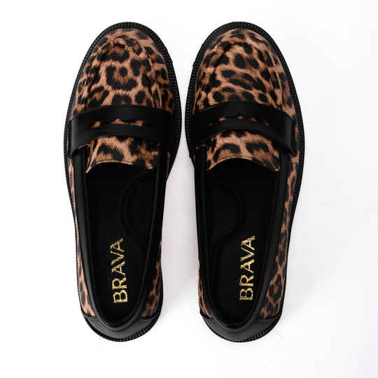 Brava Leopard College – Brava.com